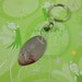 NEW Disneyland PETER PAN Key Chain Pressed Quarter - Etsy