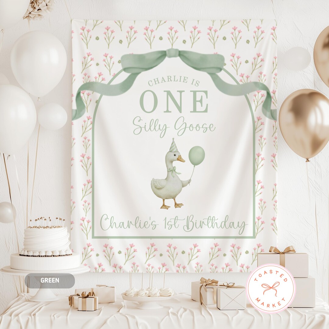 One Silly Goose Banner, One Silly Goose Backdrop, Silly Goose 1st ...