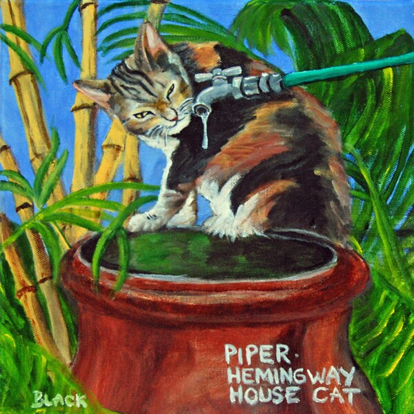 Hemingway Cat - Etsy