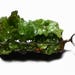 Gold Raw Pyromorphite Crystal Cluster Necklace, Real Pyromorphite ...