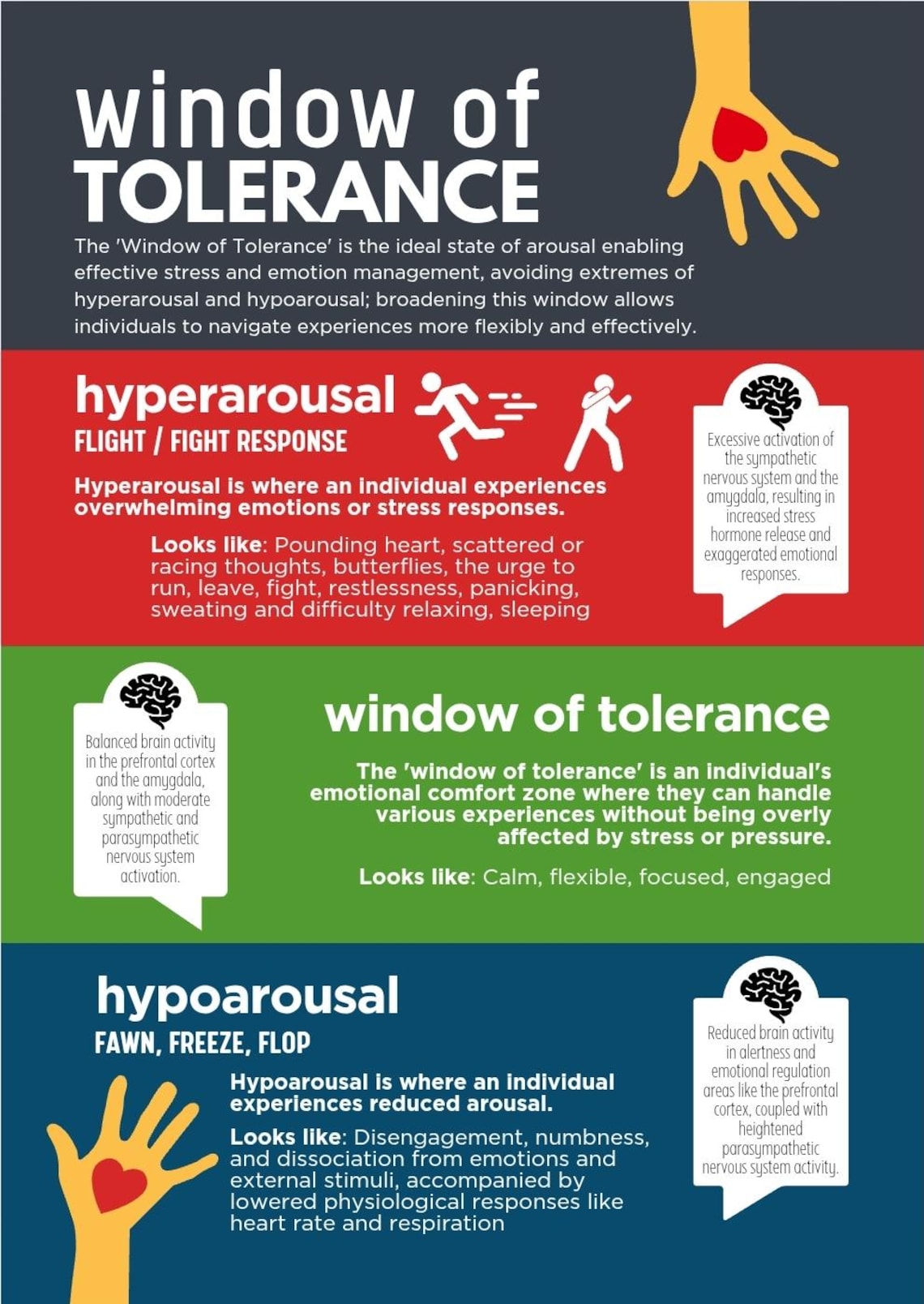 Windows of Tolerance Handout - Etsy