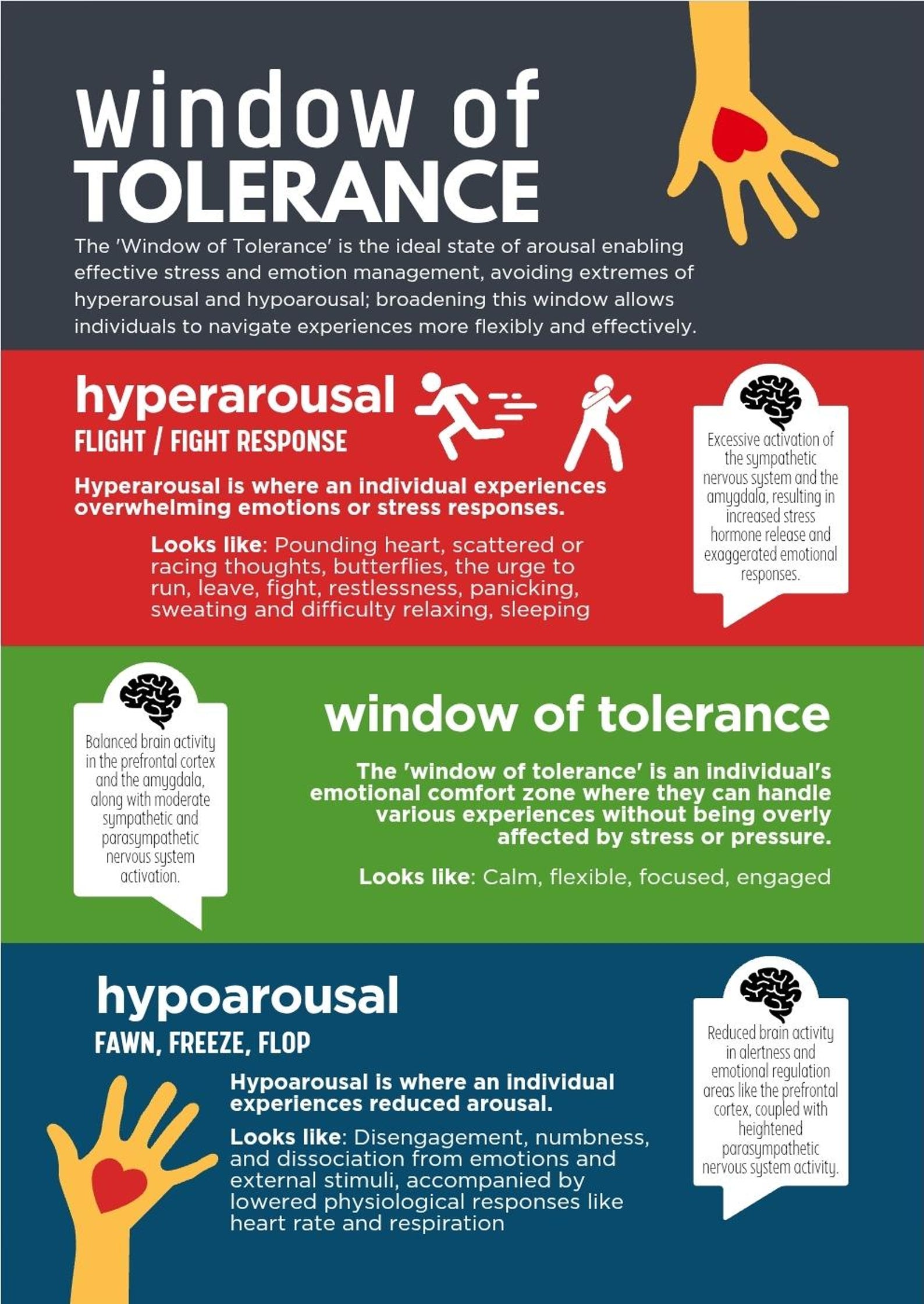 Windows of Tolerance Handout - Etsy