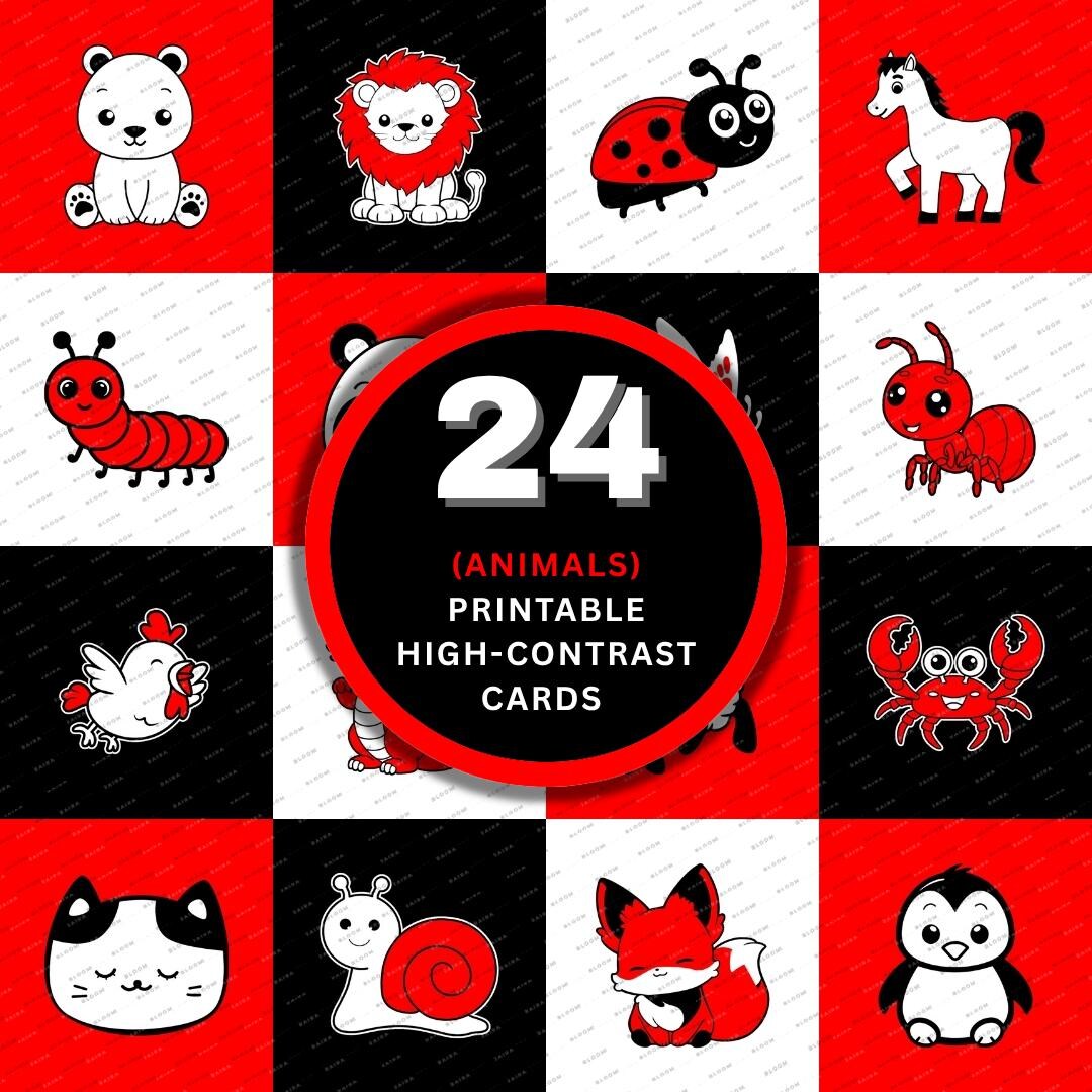 24 Printable High-contrast (animals) Cards, Visual Stimulation, Digital ...