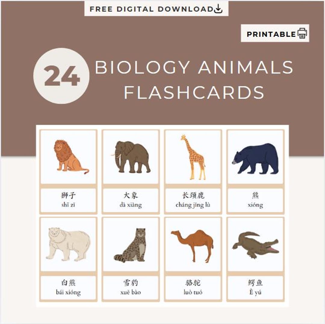 Printable Chinese Biology Animals Flashcards (PDF) | Mandarin ...