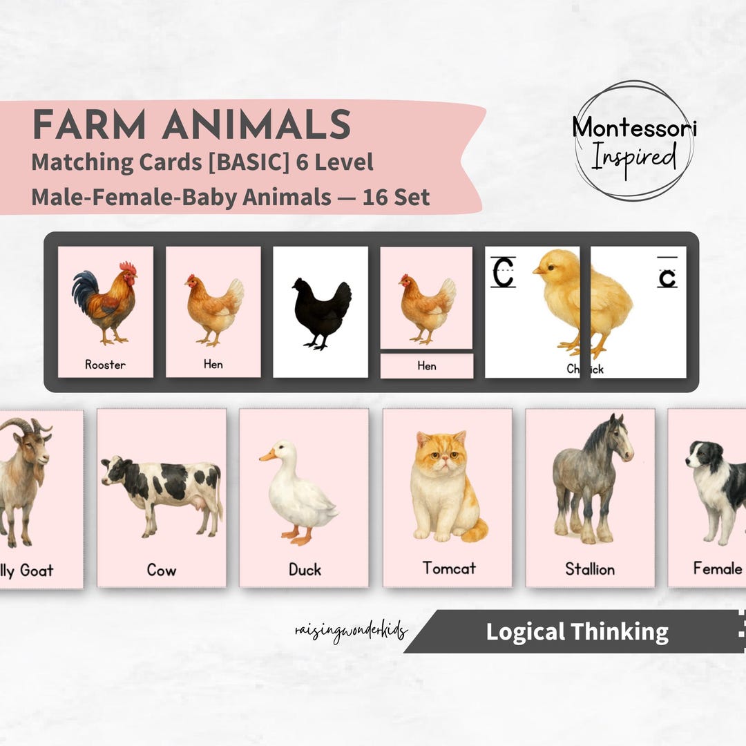 Farm Animals Matching Cards: Montessori Cognition Flashcards - Male ...