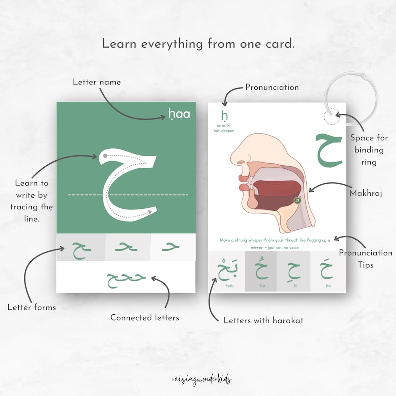 29 Arabic Alphabet Flashcards, Position Connecting Letters Card ...