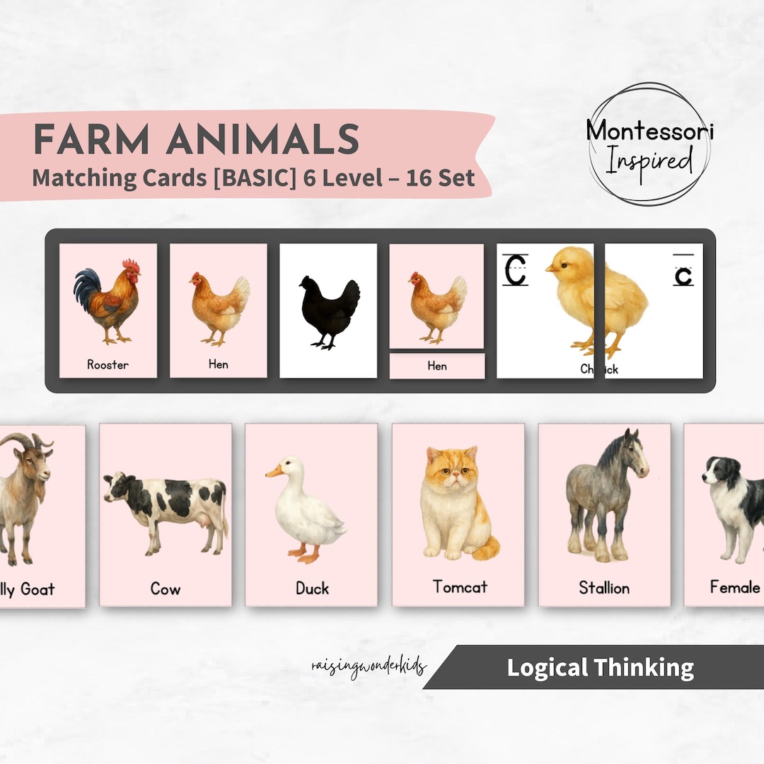 Realistic Farm Animals Matching Card, Cognition Cards, Male Female ...