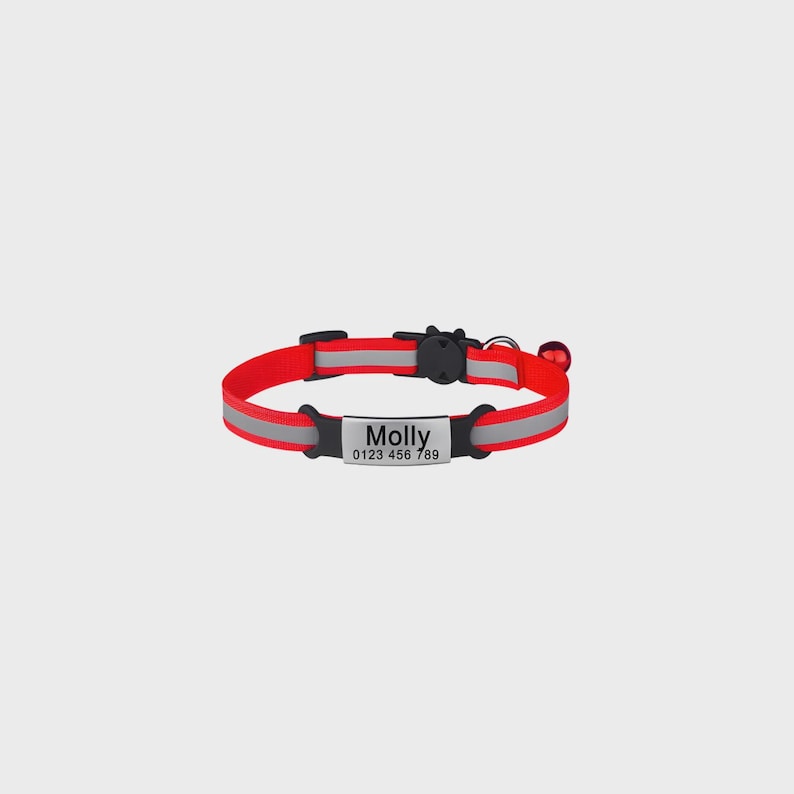 Personalised Engraved Cat Collar: Reflective Breakaway Kitten Collar ...