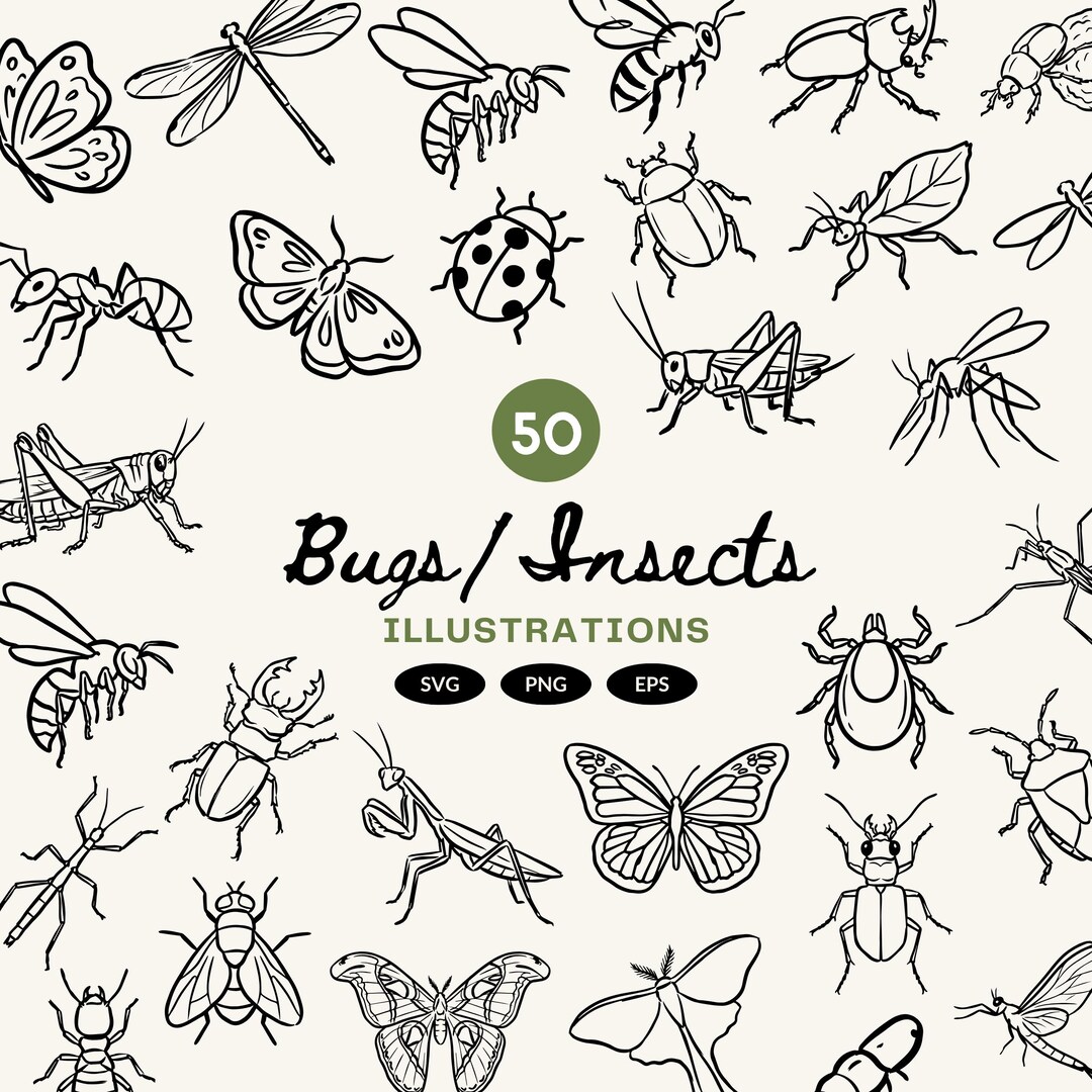 50 Hand Drawn Insects and Bugs Clipart Bundle | Line Art Insect ...