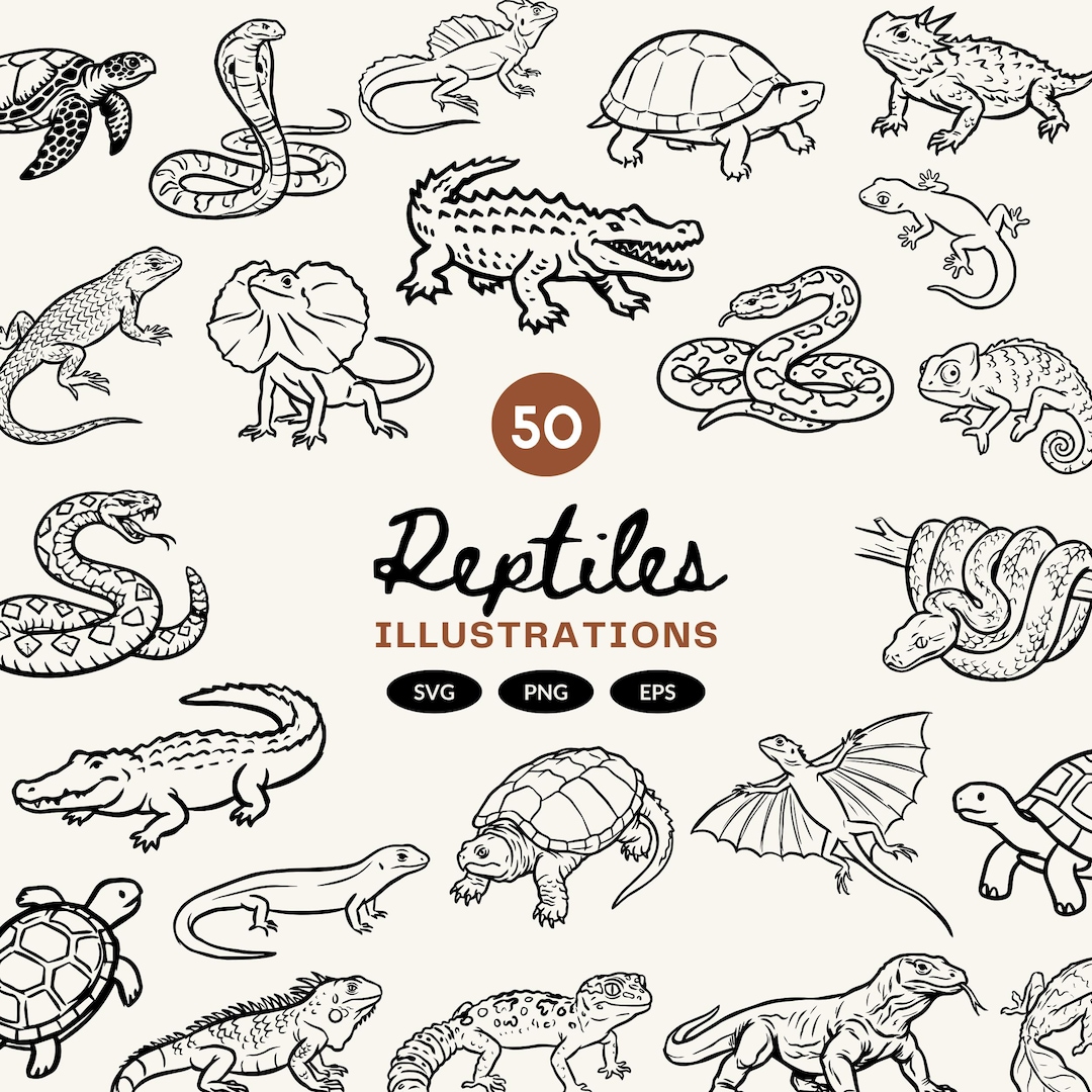 50 Hand Drawn Reptile Clipart Bundle | Reptile Illustration SVG , PNG ...