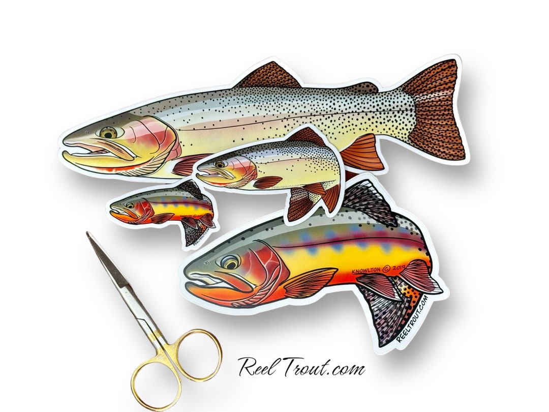 Cutthroat Trout Combo 4 Pack Vinyl Decal Sticker Fly Fishing Art, Lodge ...