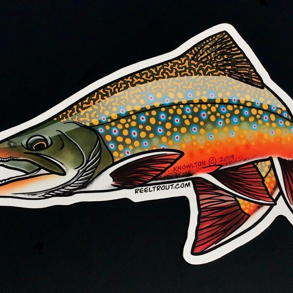 Brook Trout - Etsy