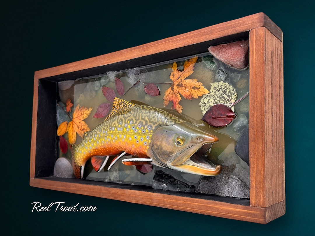 Brook Trout Wood Carving Shadowbox Epoxy River Scene Autumn Leaves ...