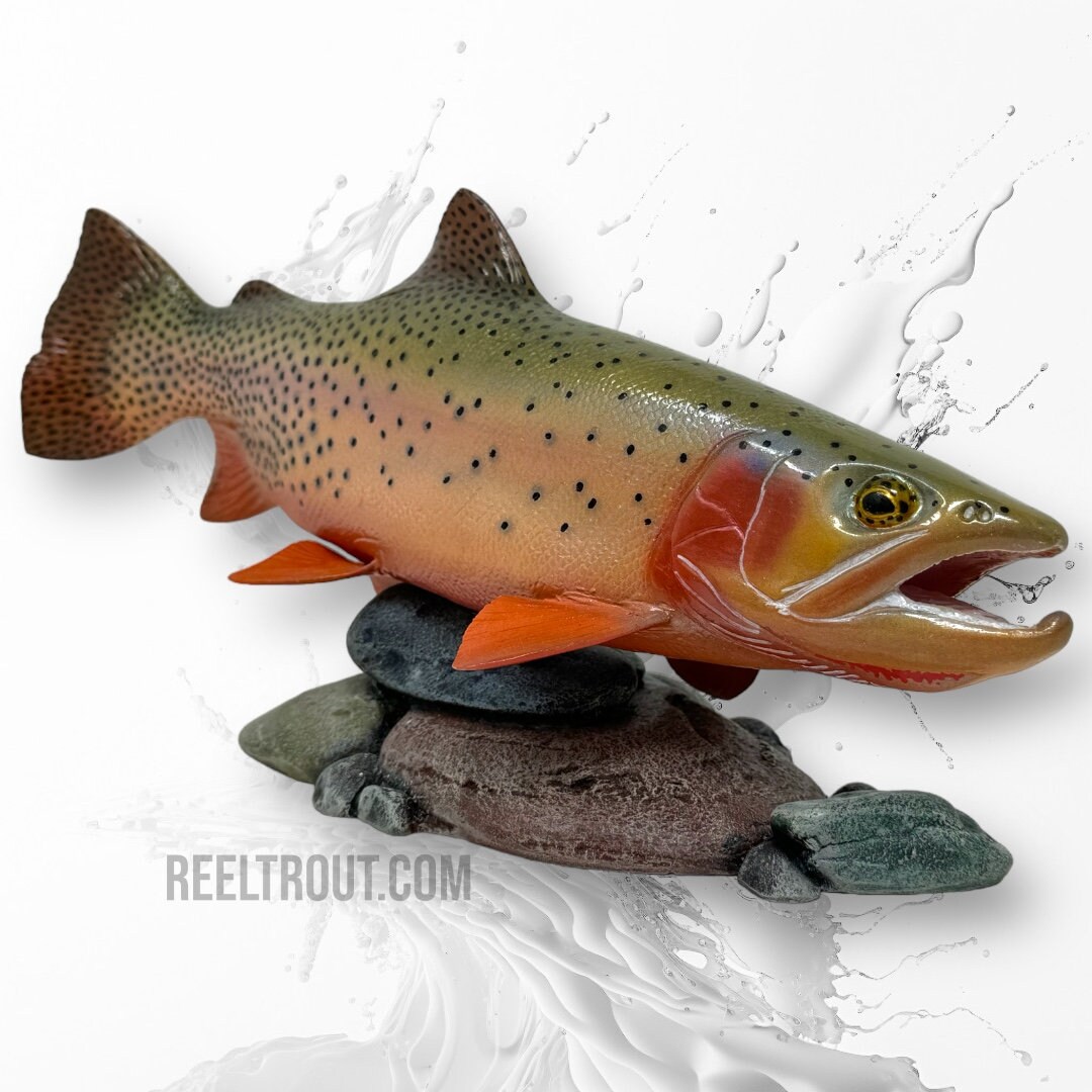 Cutthroat Trout Fishing Gift for Angler & Fisherman Flyfishing ...