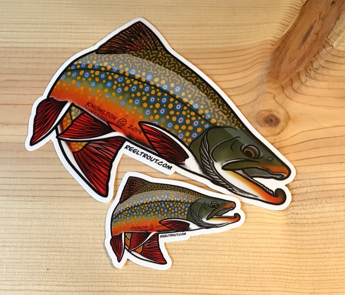 Brook Trout Vinyl Decal Sticker RIGHT FACING Fly Fishing - Etsy