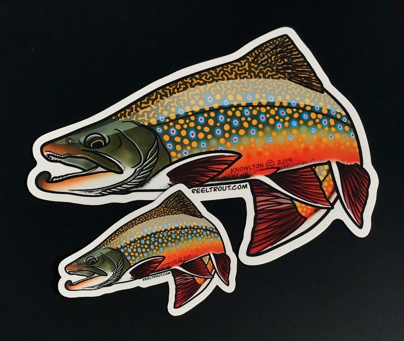 Brook Trout Vinyl Decal Sticker LEFT FACING Fly Fishing - Etsy