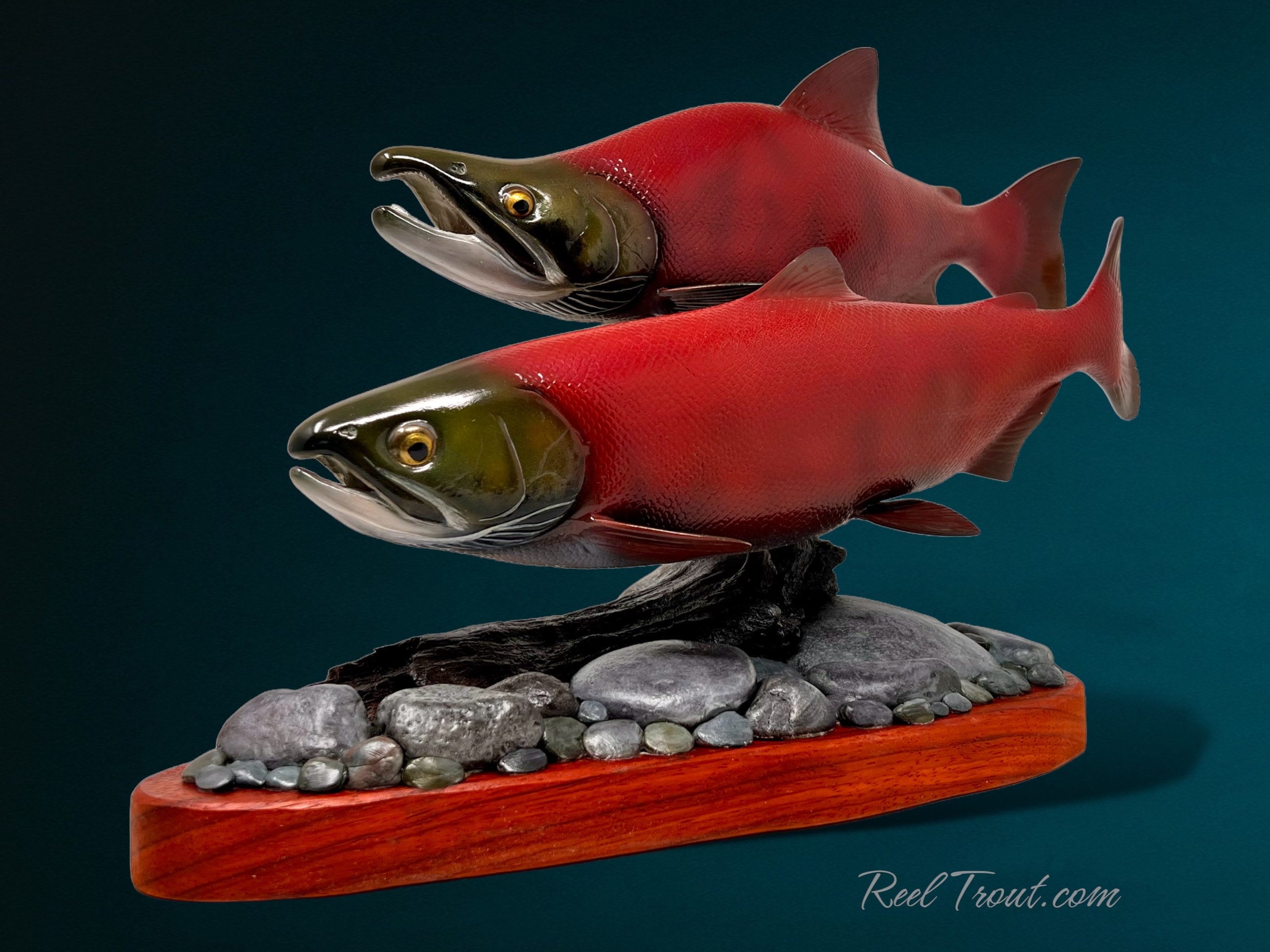 Sockeye Salmon Fish