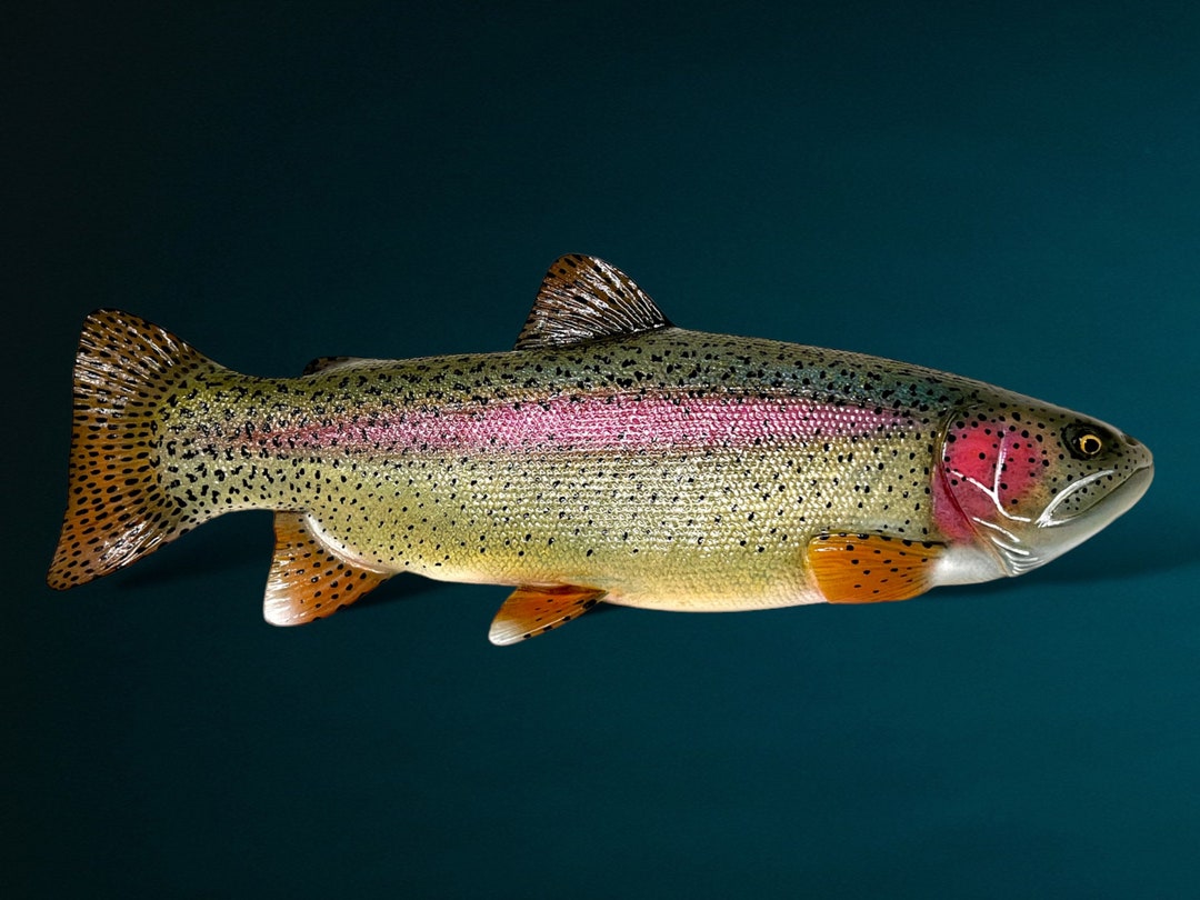 Rainbow Trout Wall Sculpture Lodge, Cabin, Wall Art, Catch and Release ...
