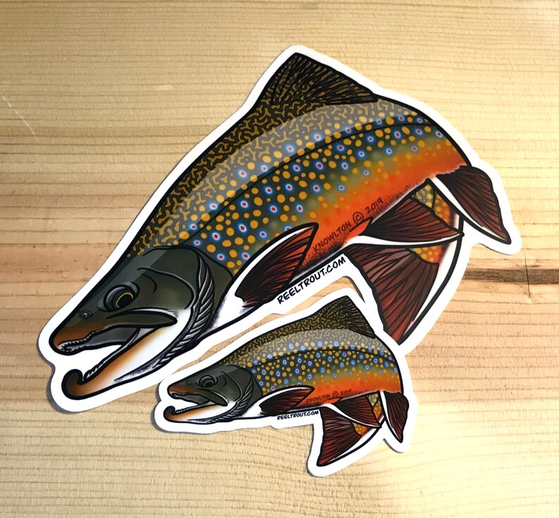 Brook Trout Vinyl Decal Sticker LEFT FACING Fly Fishing - Etsy
