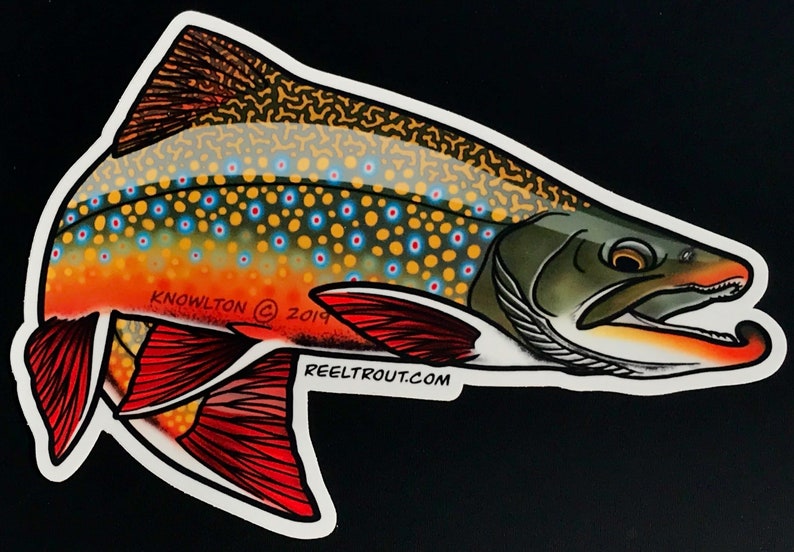 Brook Trout Vinyl Decal Sticker RIGHT FACING Fly Fishing - Etsy
