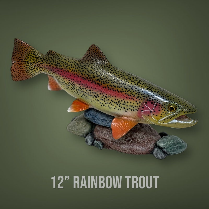 Rainbow Trout Art - Etsy
