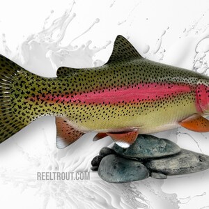 Rainbow Trout Sculpture Fishing Gift for Angler Fisherman Art Home ...