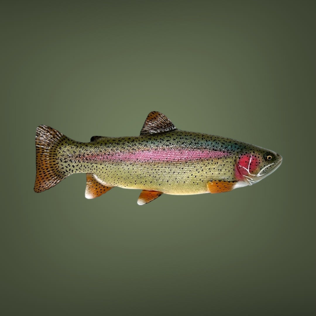 Rainbow Trout Wall Sculpture Lodge, Cabin, Wall Art, Catch and Release ...