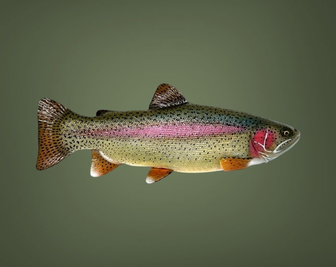 Rainbow Trout Wall Sculpture || Lodge, Cabin, Wall Art, Catch and ...