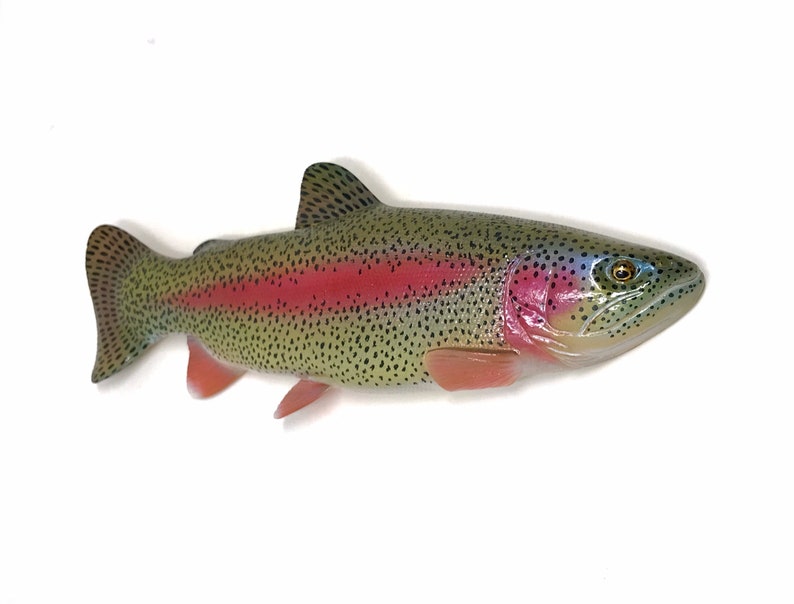Rainbow Trout Wall Sculpture Lodge Cabin Wall Art Catch - Etsy
