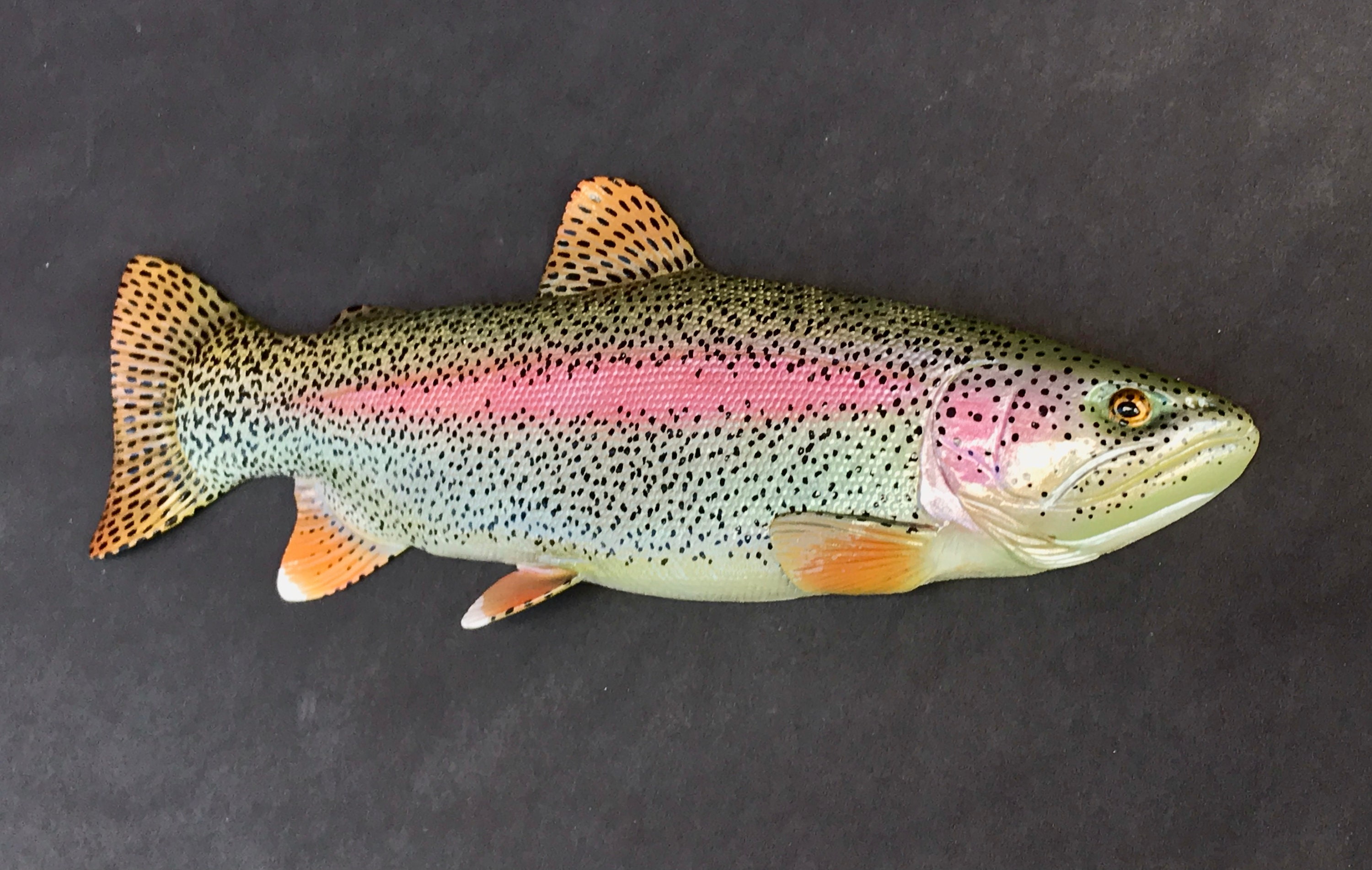 Rainbow Trout Wall Sculpture Lodge Cabin Wall Art Catch | Etsy