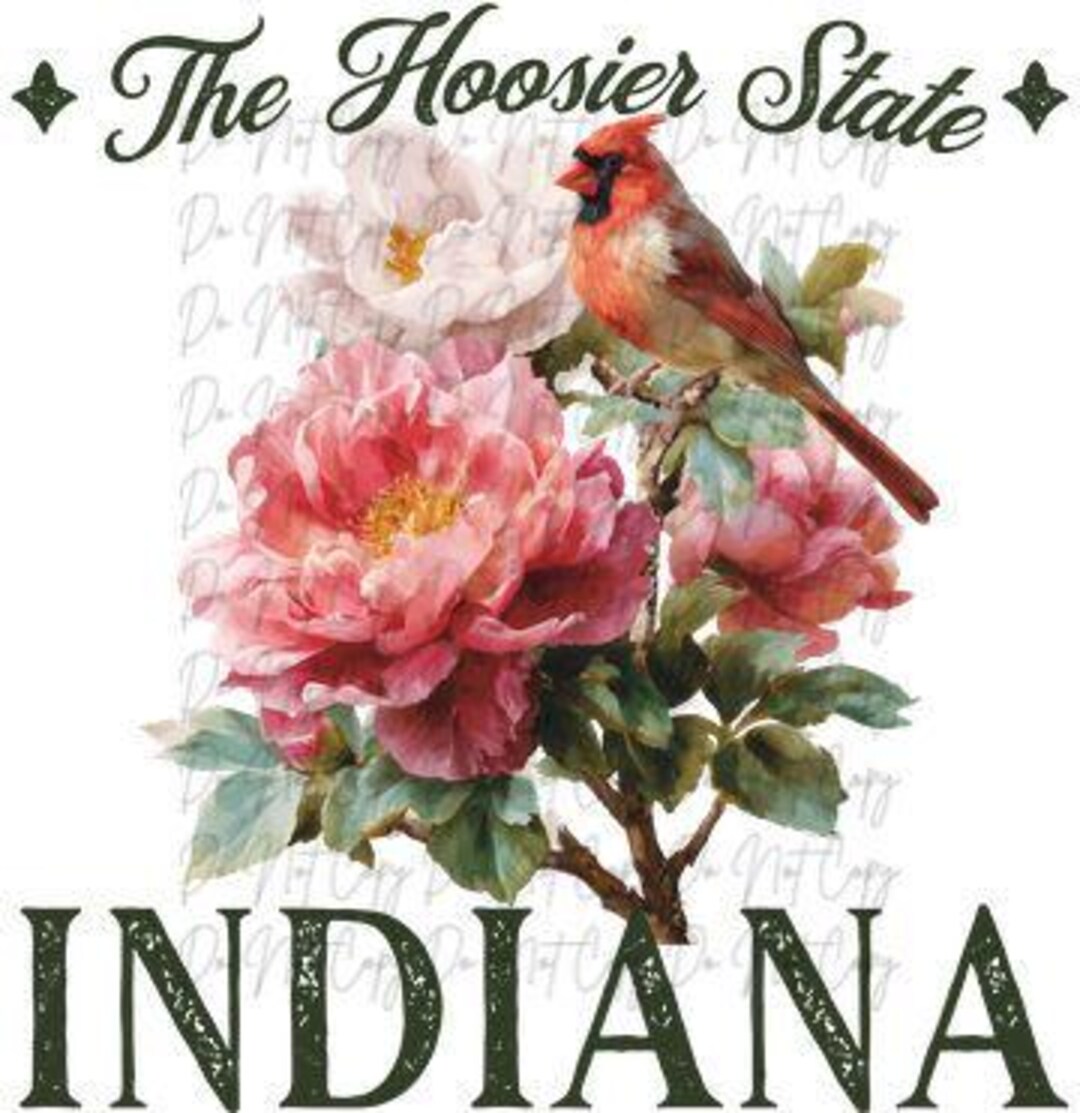 Vintage State Birds DTF, Indiana Transfer, the Hoosier State Ready to ...