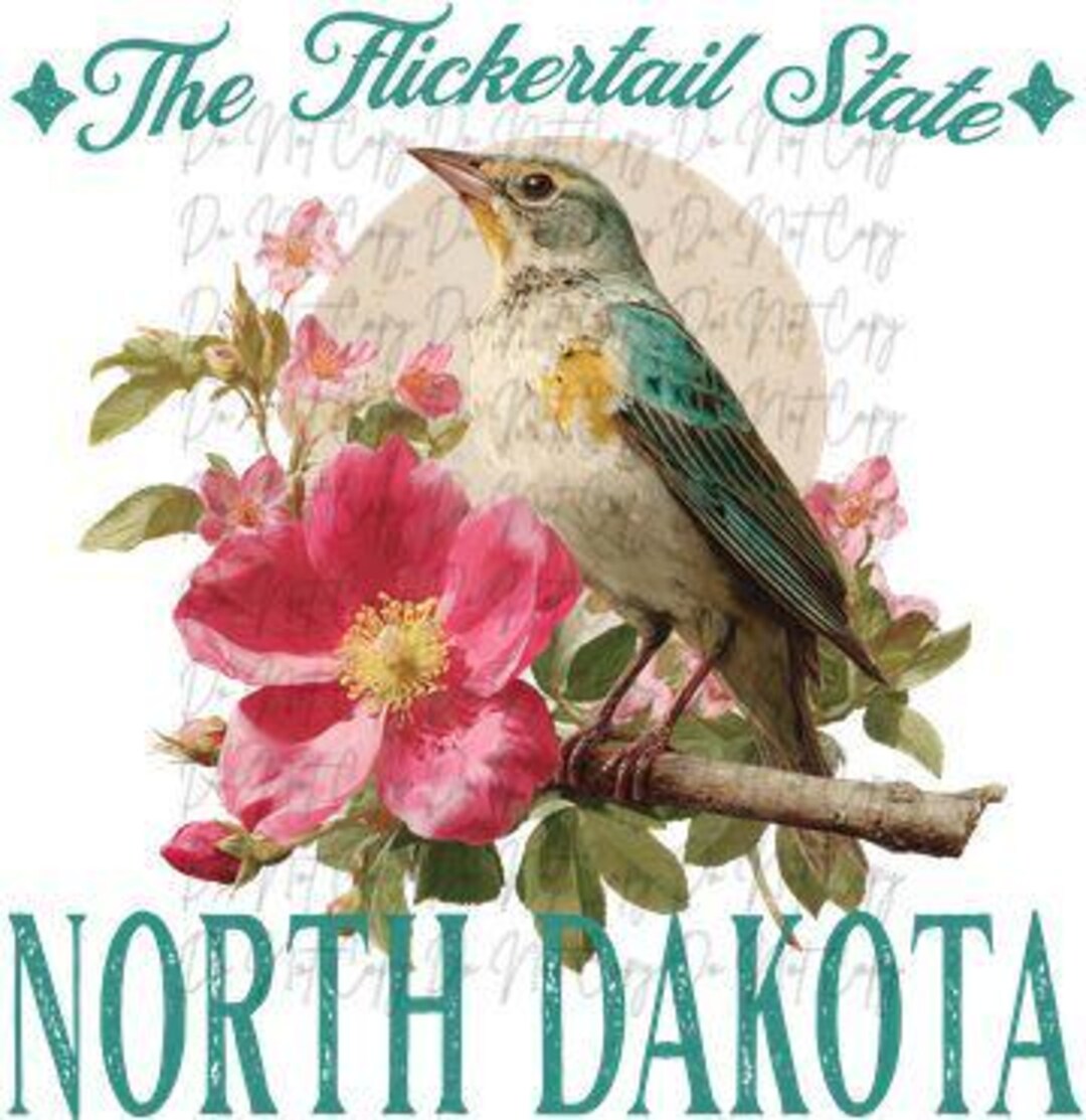 Vintage State Birds DTF, North Dakota Transfer, the Flickertail State ...