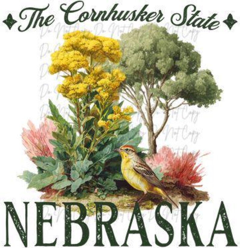 Vintage State Birds DTF, Nebraska Transfer, the Cornhusker State, Ready ...