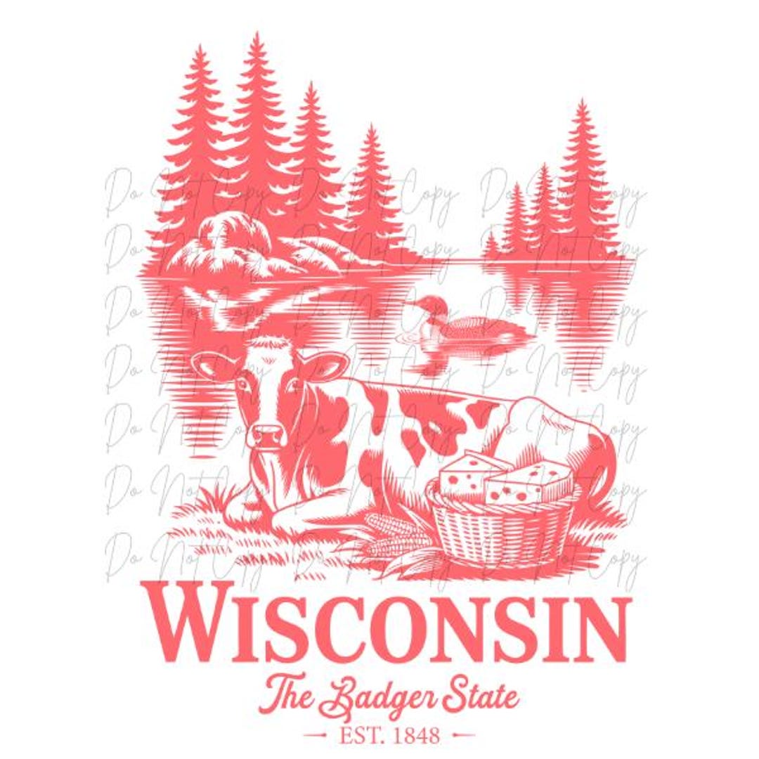 Wisconsin, the Badger State, Wisconsin Transfer, DTF, Iron on Ready to ...