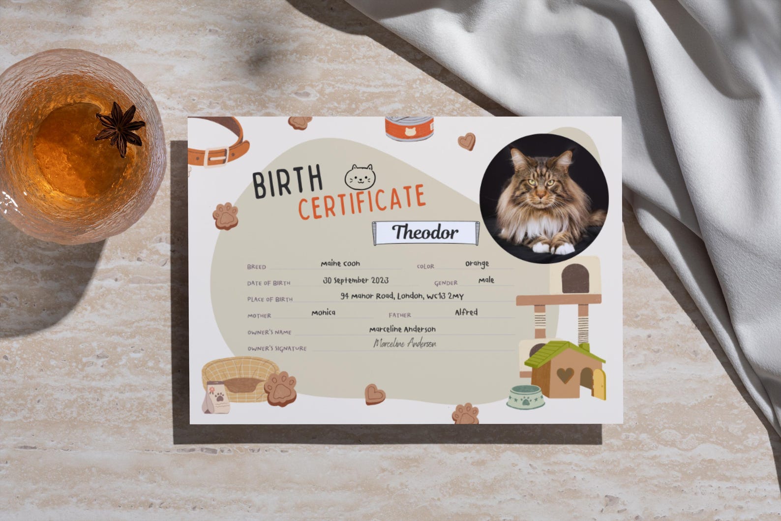Editable Cat Birth Certificate Template | Canva Pet Keepsake | Cute ...