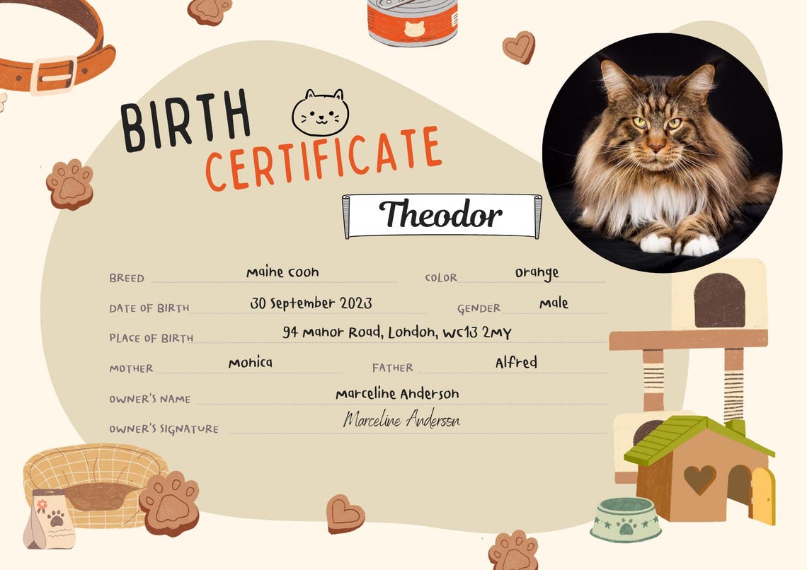 Editable Cat Birth Certificate Template | Canva Pet Keepsake | Cute ...
