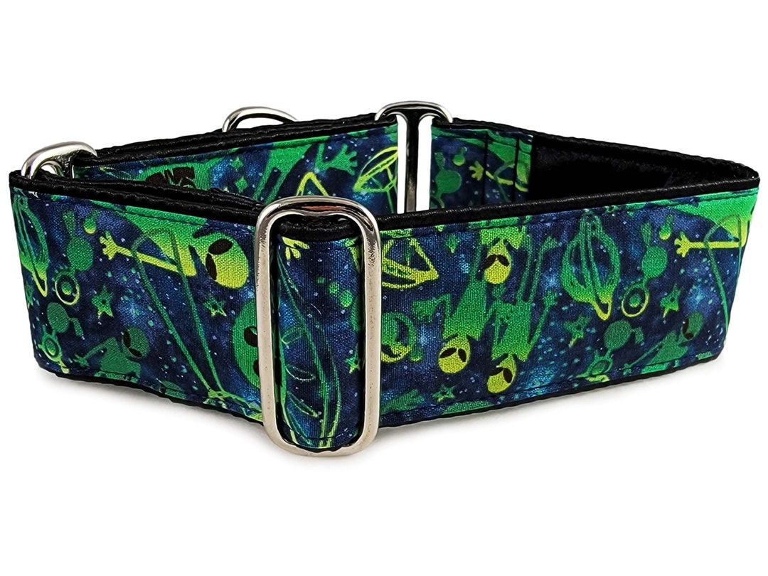 Aliens & Ufos Dog Collar: Martingale Dog Collar or Buckle Dog Collars ...