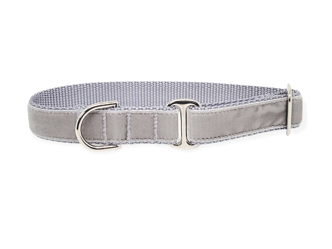 Silver Gray Velvet Tag Collars for Everyday Use | House Collar to Keep ...