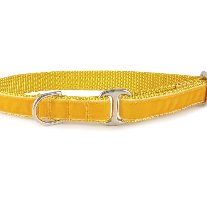 Tag Safe Dog Collar - Etsy