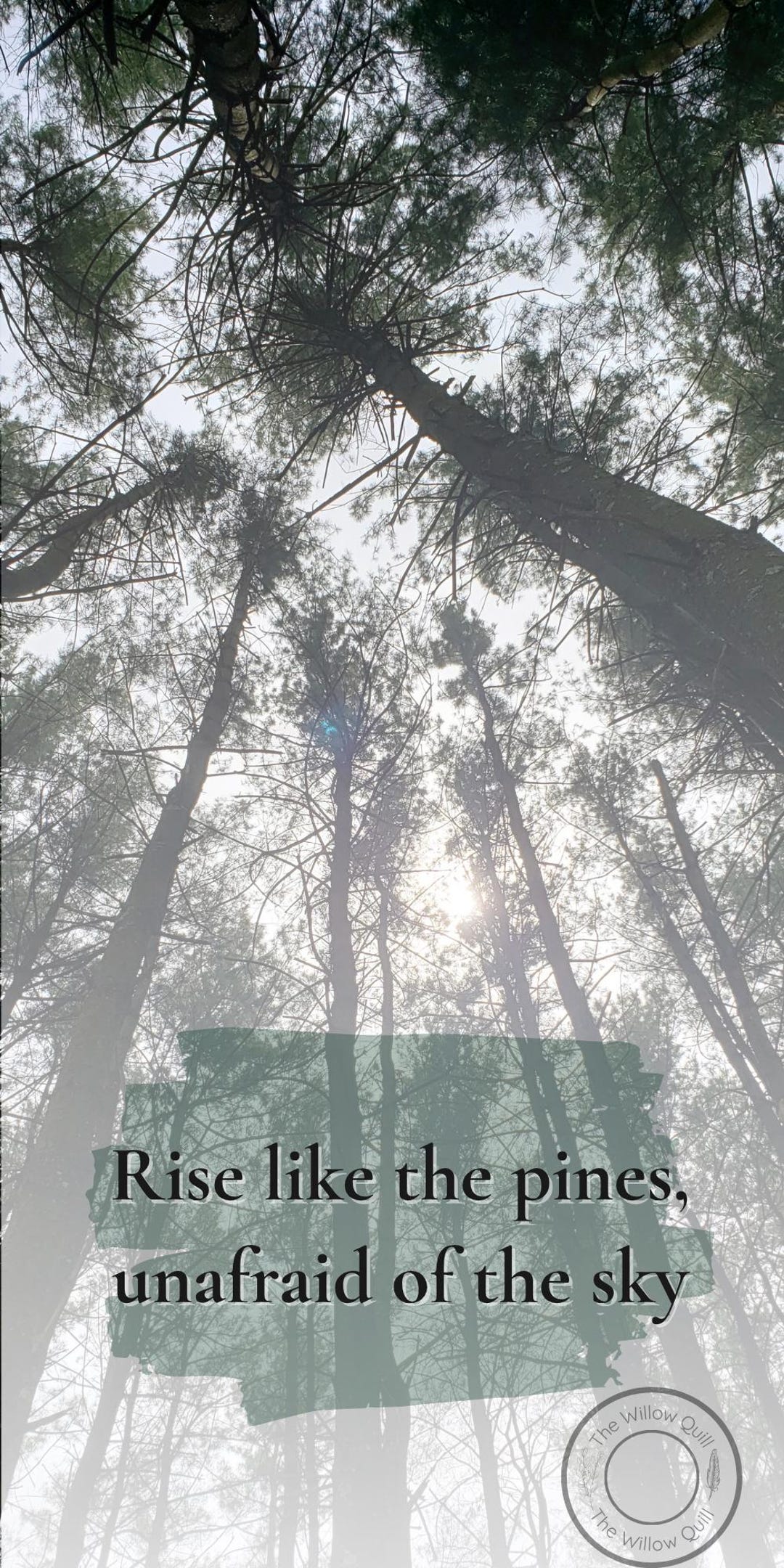 Pine Tree Printable Wall Art – Rise Like the Pines Quote – Nature ...