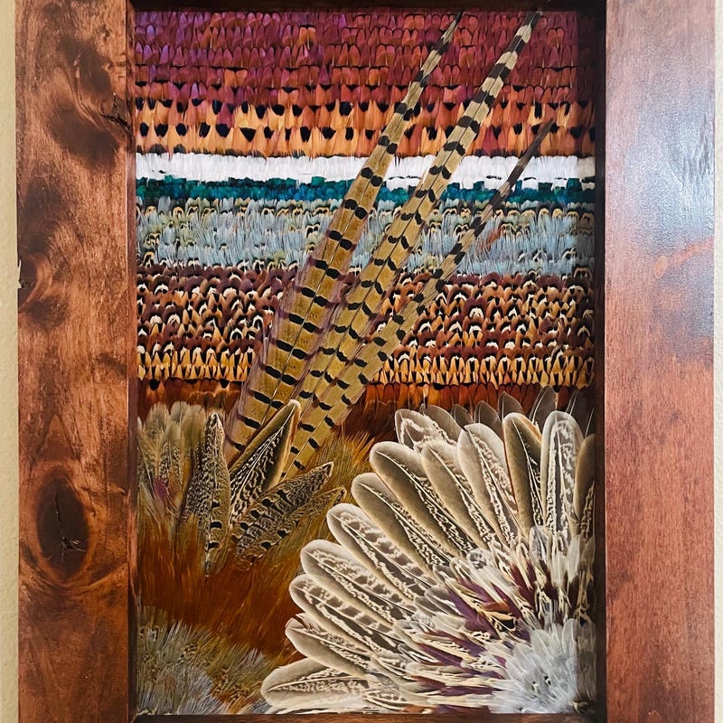 Turkey Feather in Frame - Etsy