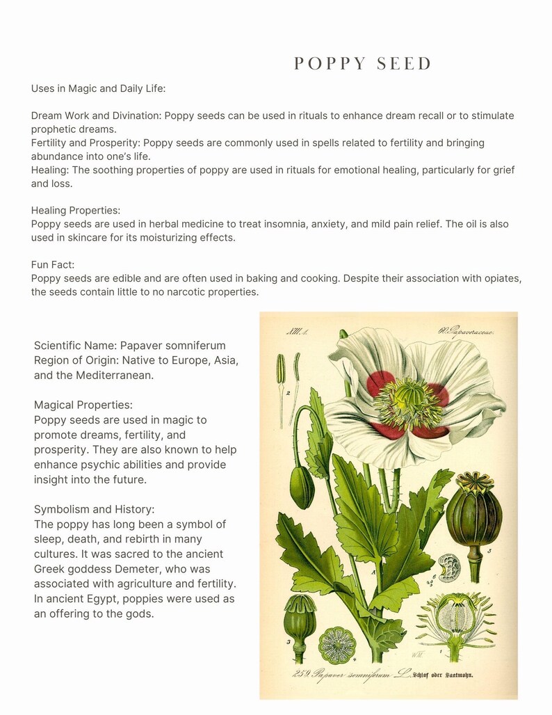 67 Grimoire Quick Herb Cheat Sheets! - Etsy