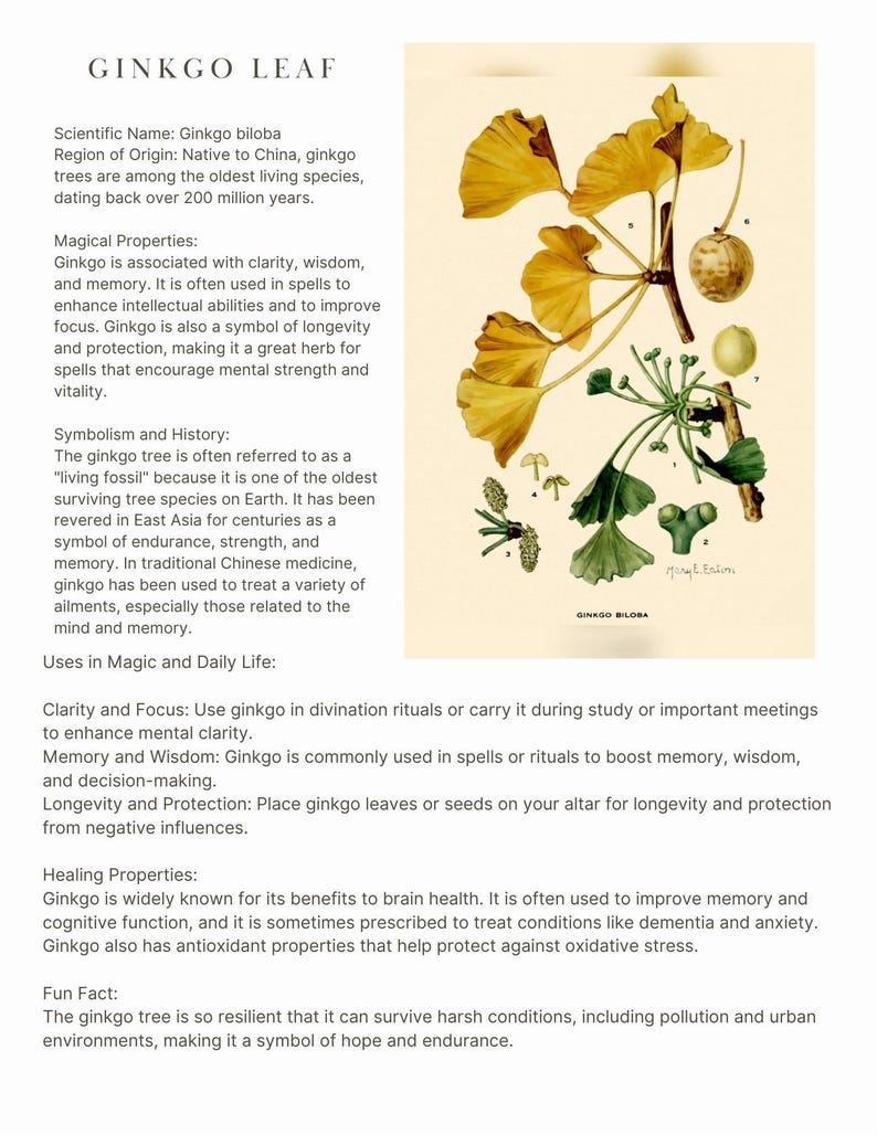 67 Grimoire Quick Herb Cheat Sheets! - Etsy