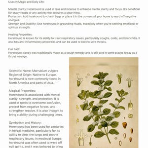 67 Grimoire Quick Herb Cheat Sheets! - Etsy