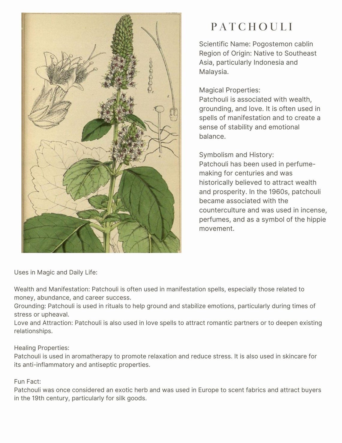 67 Grimoire Quick Herb Cheat Sheets! - Etsy