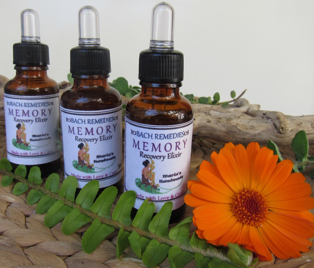 Memory Recovery Elixir With Bach Flower Remedies by Maria - Etsy