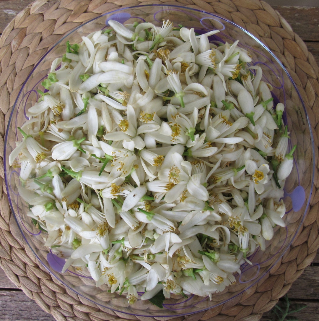 Organic Neroli Hydrosol Bitter Orange Blossoms Sensitive Skin All Skin ...