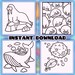 Coco Wyo Ocean Scene Coloring Book PDF – 50 Printable Pages for Kids ...