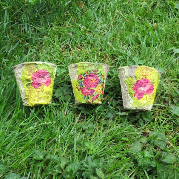 Peat Pot - Etsy