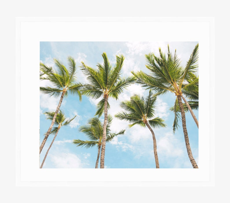 Palm Tree Print Large Wall Art Tropical Decor Framed Print Etsy